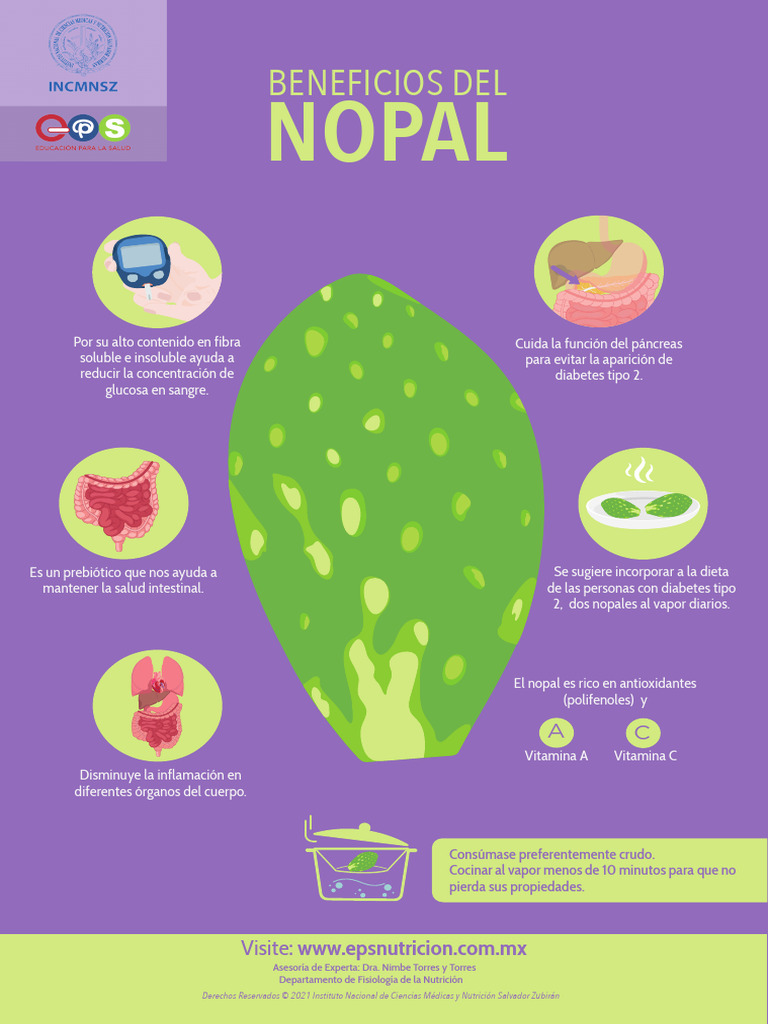 Nopal 2 | PDF