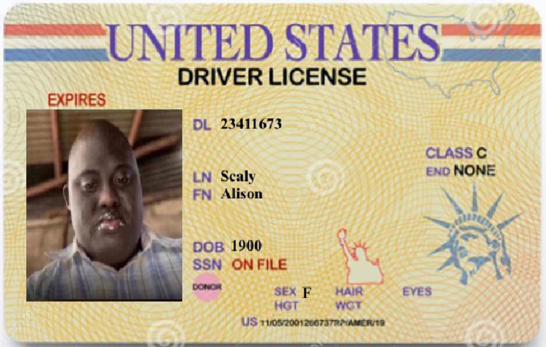 United States: Driver License | PDF
