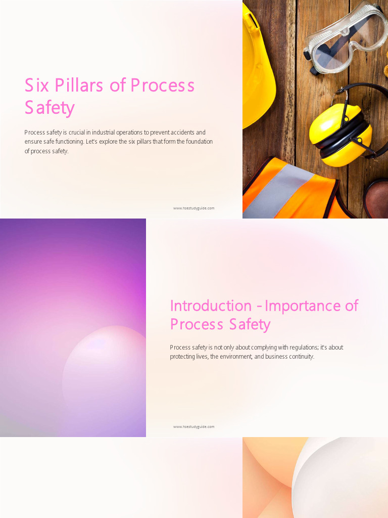 Six Pillars of Process Safety Explained | PDF | Safety | Risk
