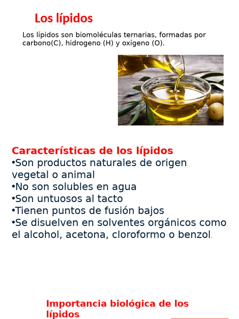 lipidos | PDF