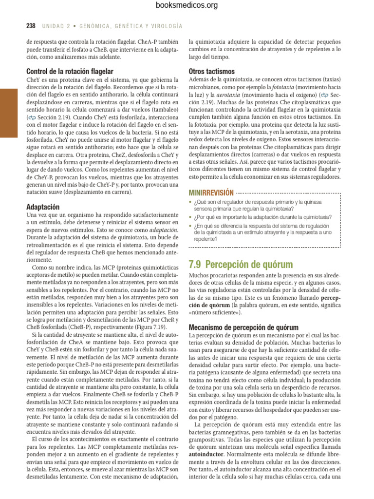 Quimiotaxia y Percepción de Quórum Bacteriano | PDF | Biopelícula ...