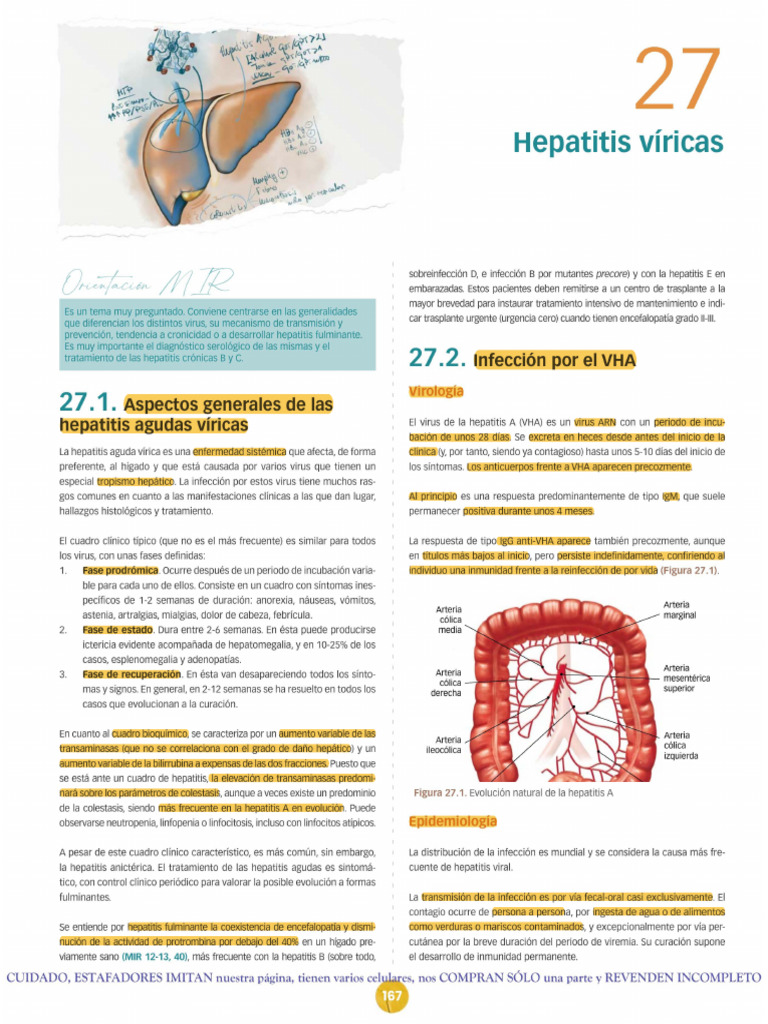Manual CTO Digestivo y Cirugía Digestiva 12 Edición 3 | PDF | Hepatitis | Virus de la hepatitis C