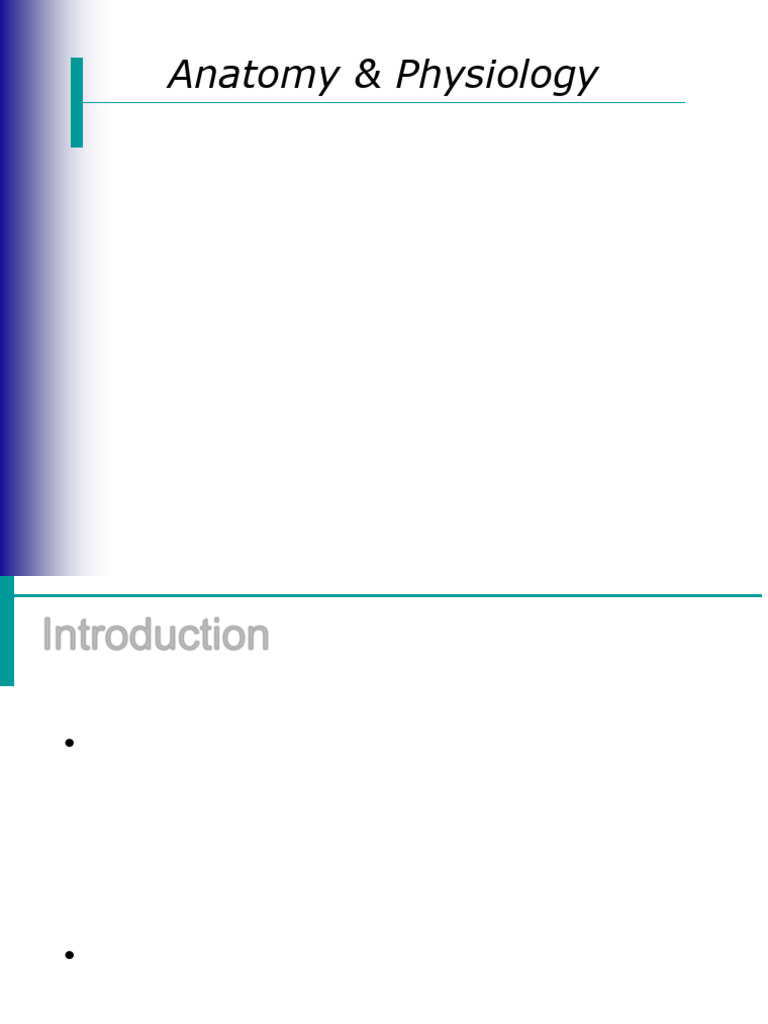 Chapter 3 - Skin and Body Membranes | PDF | Skin | Integumentary System