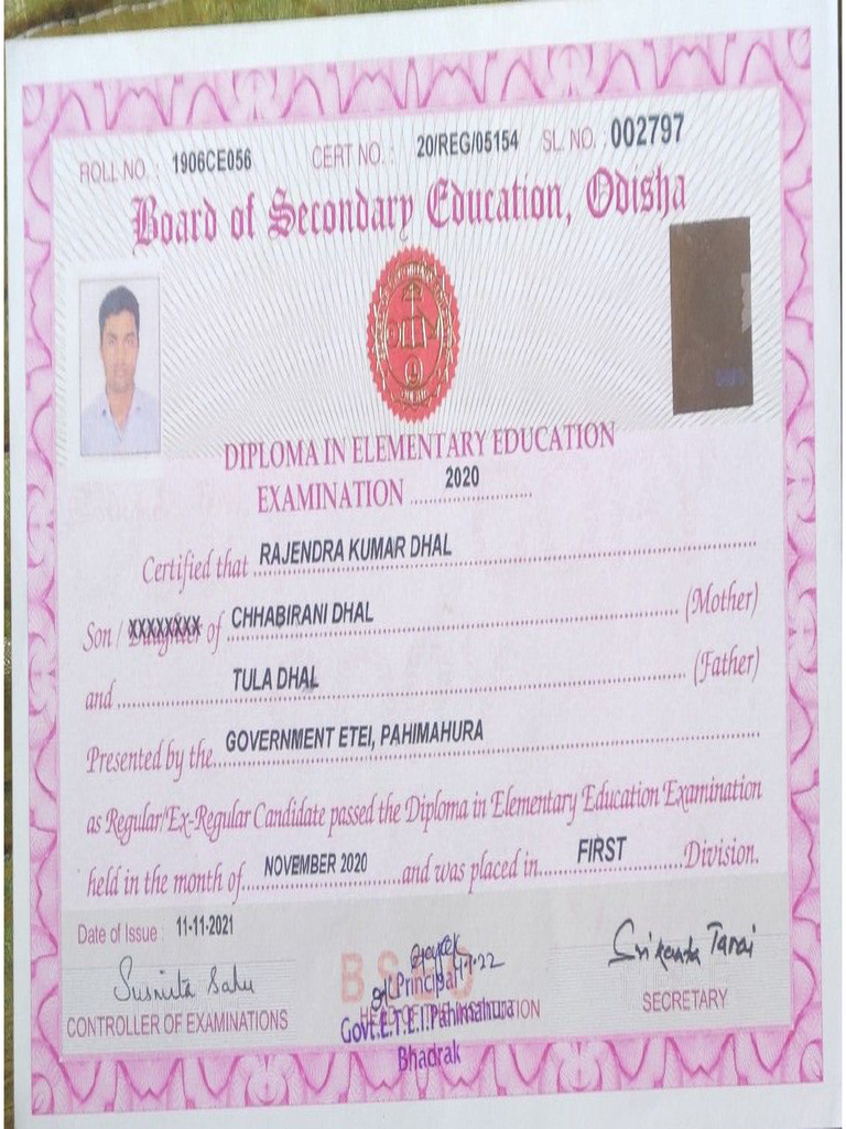 diploma in elementary education certificate & marksheet | PDF
