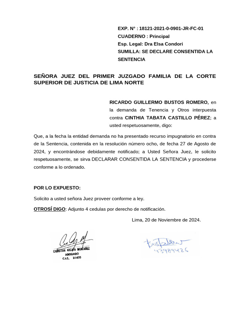 Se Tenga Por Consentida La Sentencia | PDF