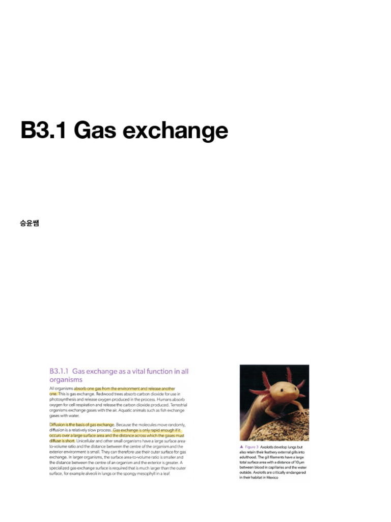 New IB Biology B3.1 Gas exchange (1) | PDF