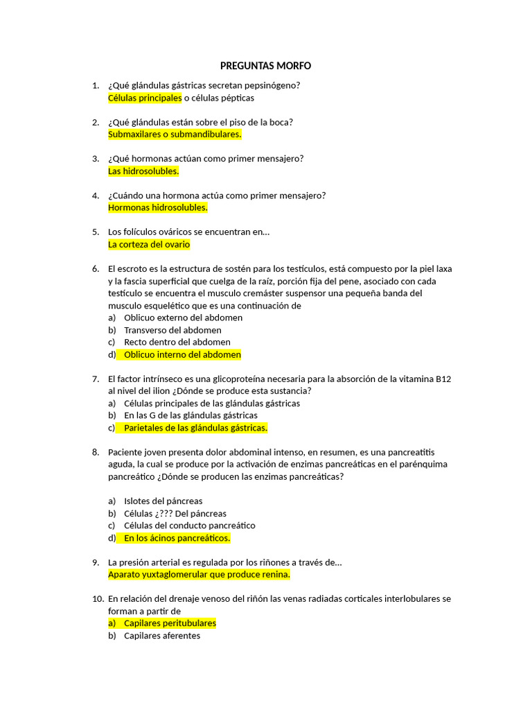 PREGUNTAS MORFO | PDF | Abdomen | Riñón