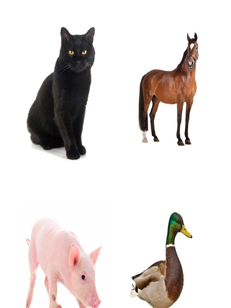 CUENTO - IBA CAMINANDO | PDF