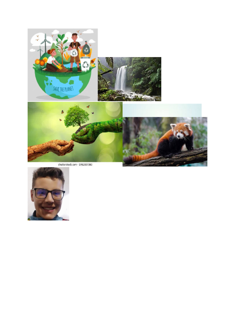 3 | PDF
