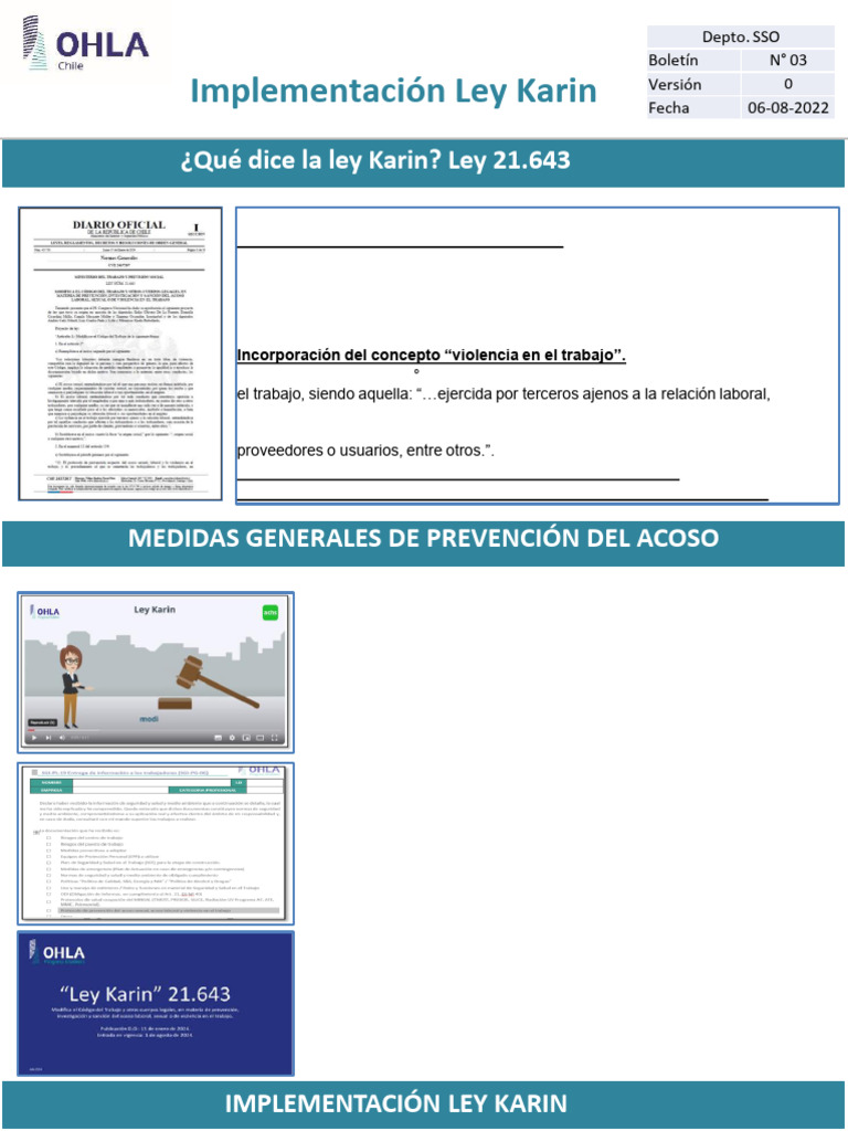 Boletín Ley Karin | PDF | Violencia