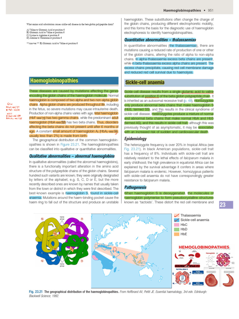 Haemoglobinopathies (Sickle-cell Anaemia & Thalassaemias) | PDF ...
