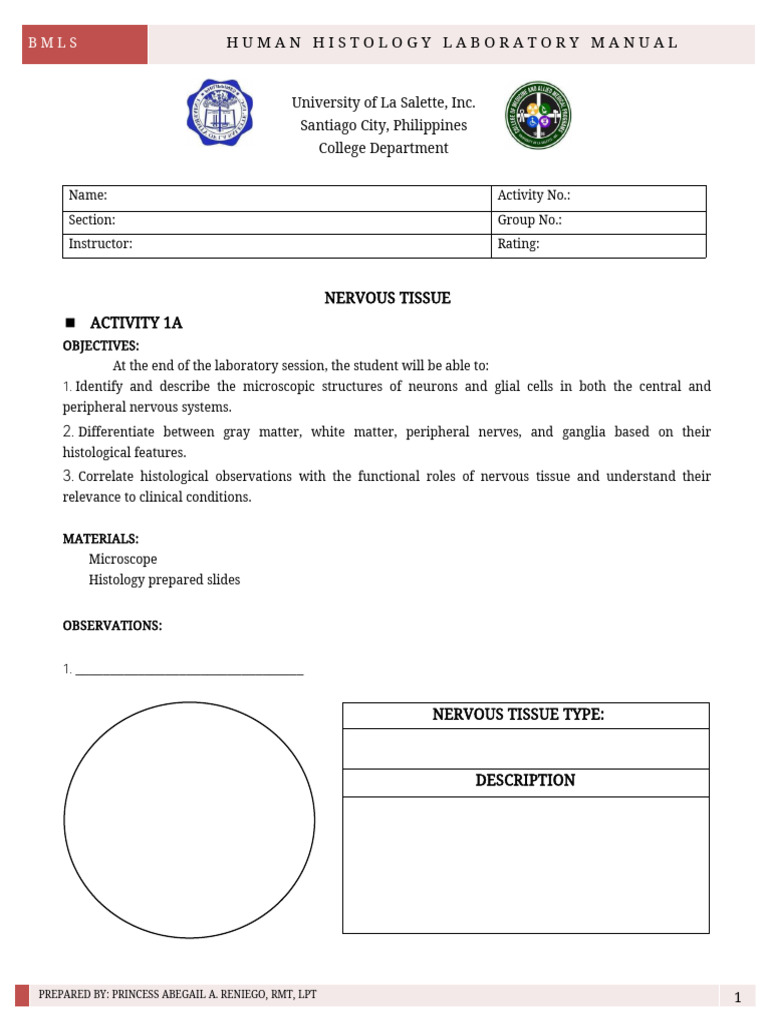Human Histology Activity 5 | PDF | Histology | Grey Matter