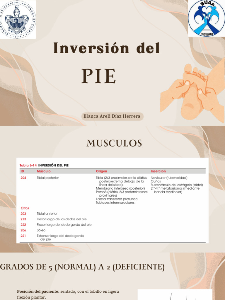 Inversión Del Pie | PDF