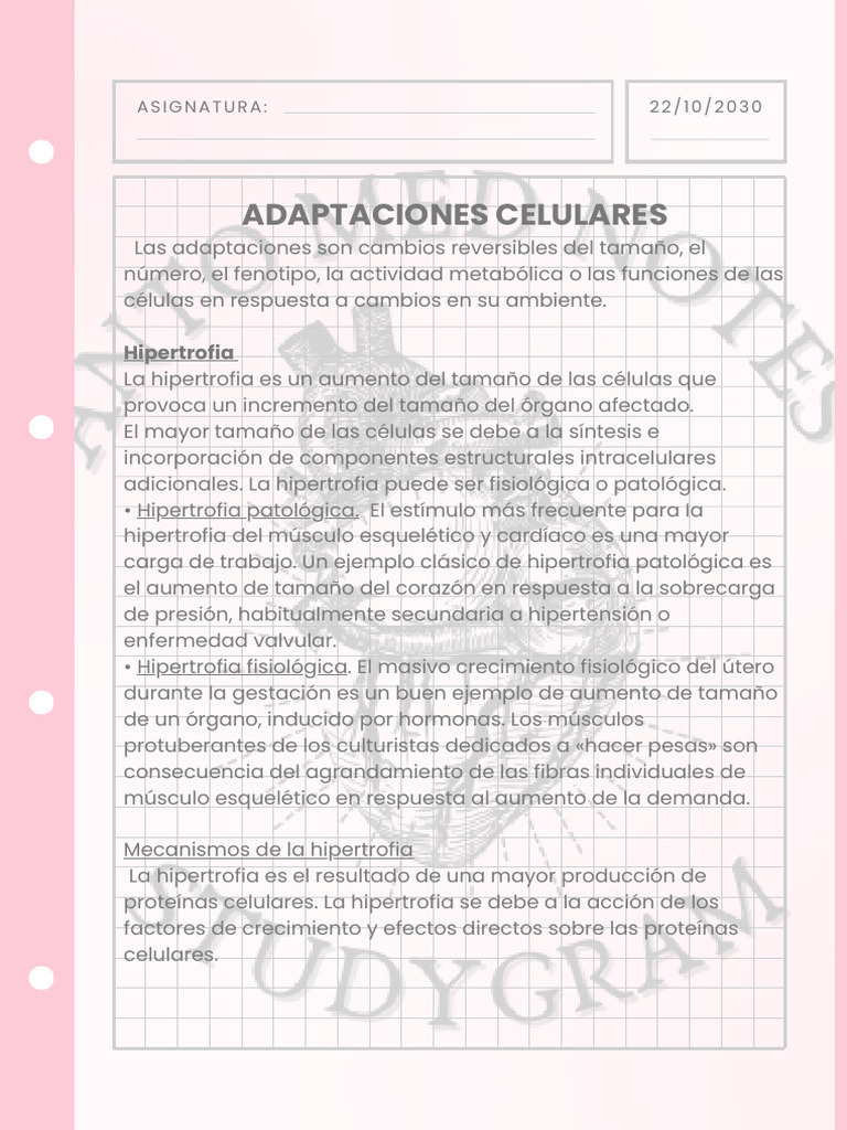 Resumen Adaptaciones Celulares | PDF | Atrofia | Hormona