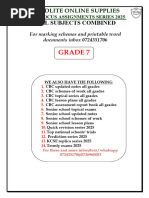 Grade 7 Opener Examinations 2025 | PDF