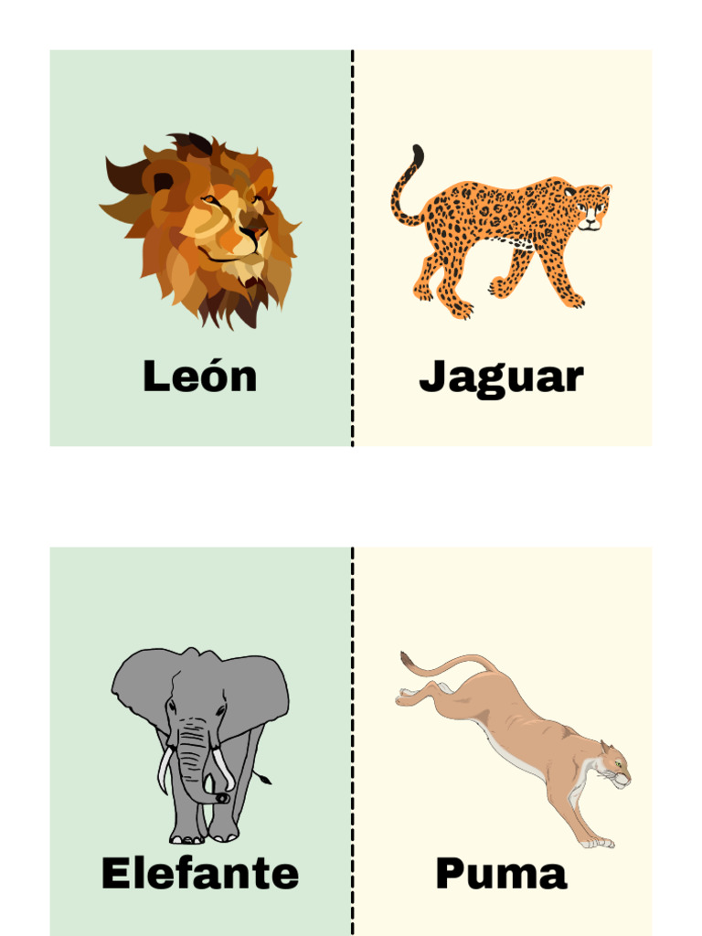 Flash Cards Animales | PDF