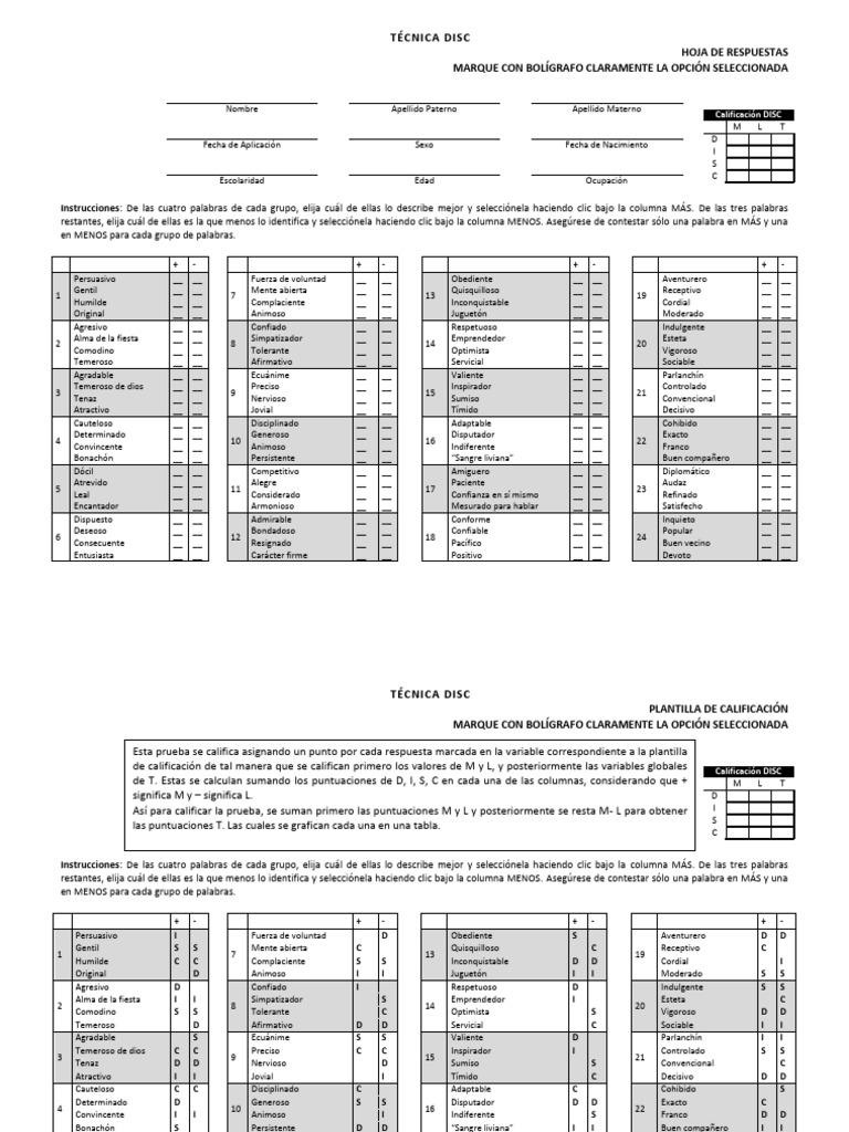 Protocolo Del Test DISC | PDF