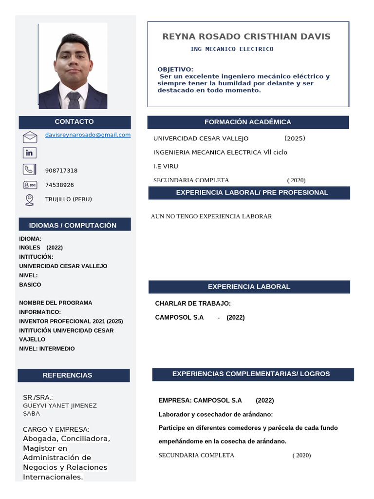 Perfil de Ingeniero Mecánico Eléctrico | PDF