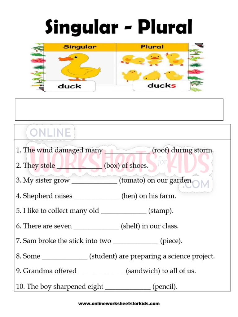 Singular and Plural Nouns FB Worksheet 4 | PDF