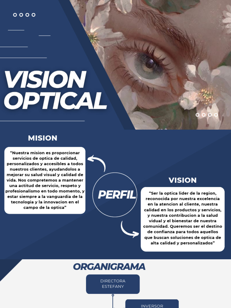 Vision Optical | PDF | Lentes | Óptica