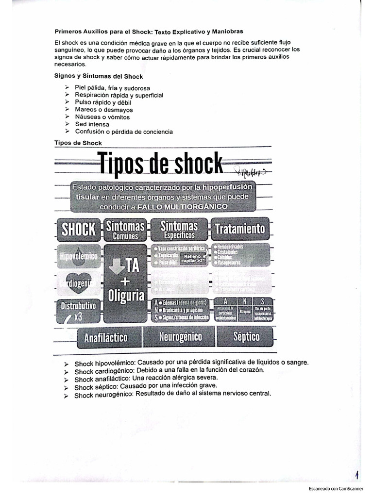 Shock | PDF