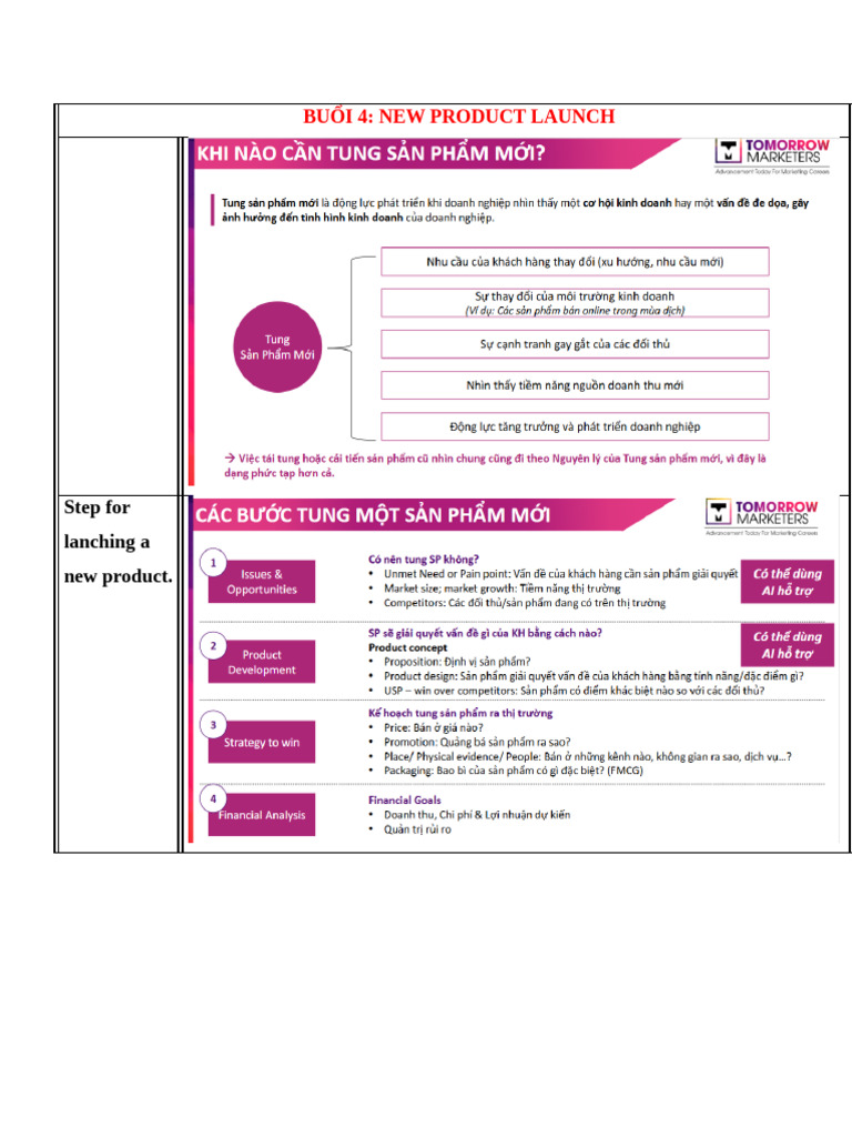 product launch | PDF | Marketing | Brand