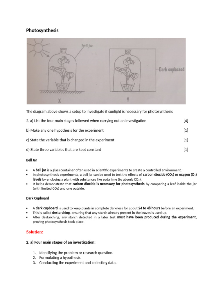 Hypothesis Testing in Photosynthesis Experiment | PDF
