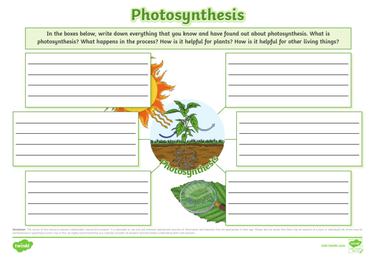 t-sc-1727862449-photosynthesis-mind-map_ver_1 | PDF | Learning | Cognition
