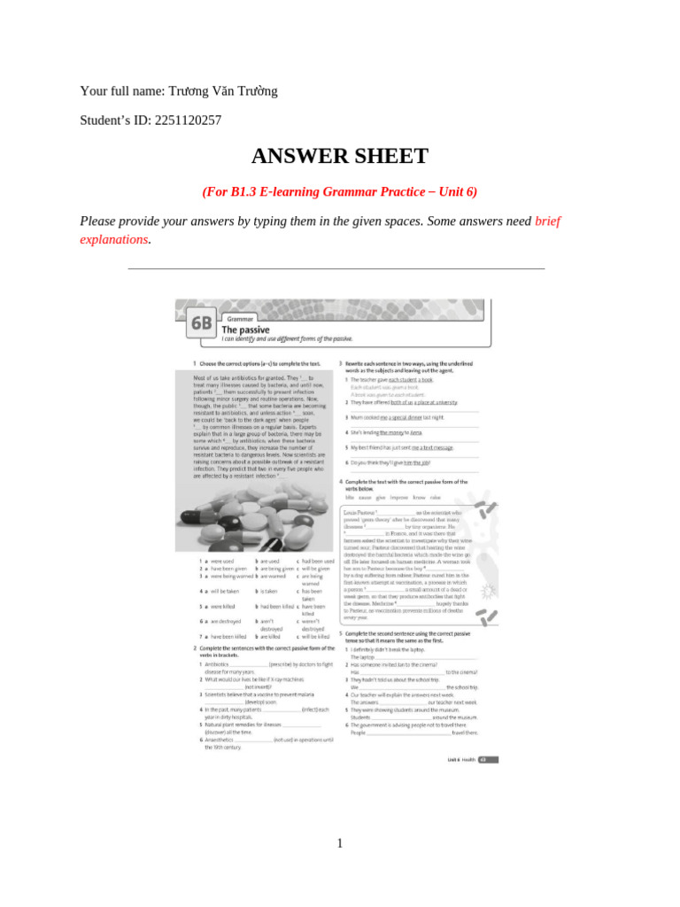 E-Learning Grammar Practice Unit 6 (Answer Sheet) | PDF