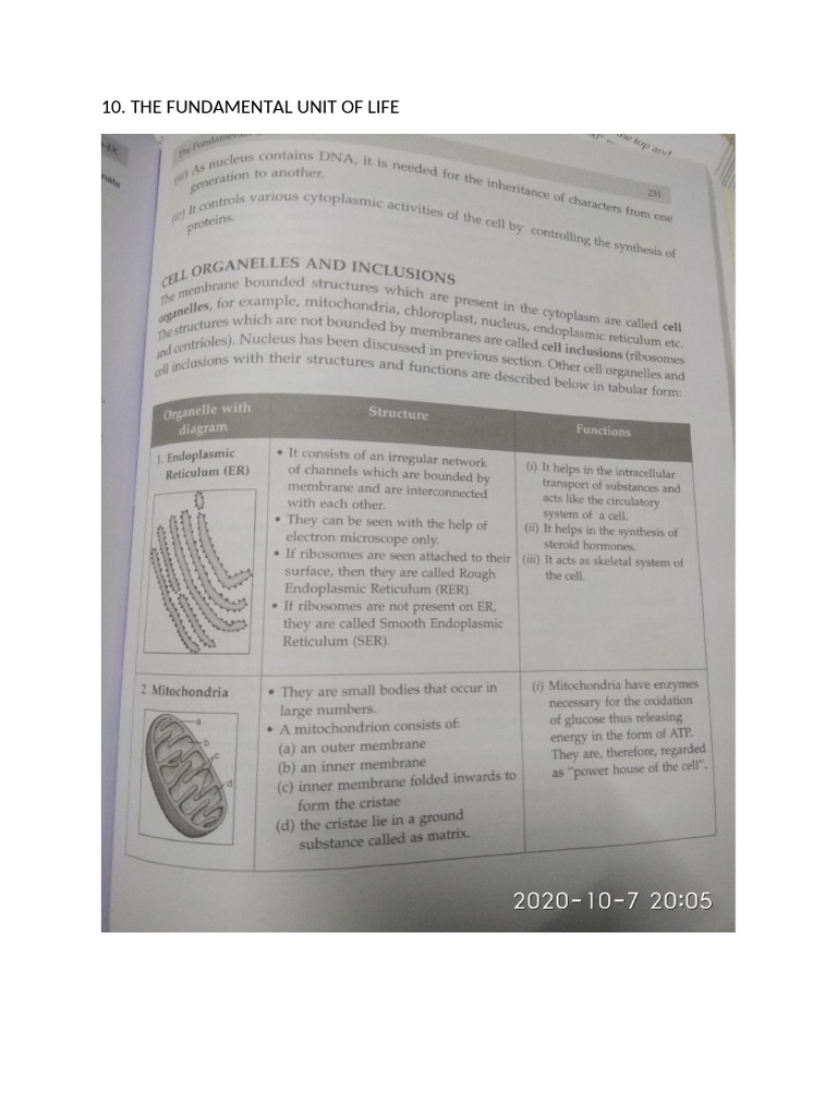 Class Ix Biology | PDF