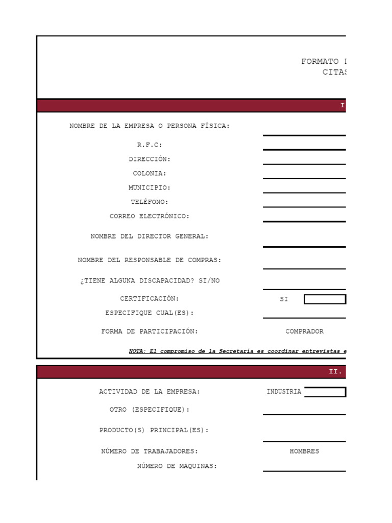 Formato Registro de Empresas 2025 | PDF | Business