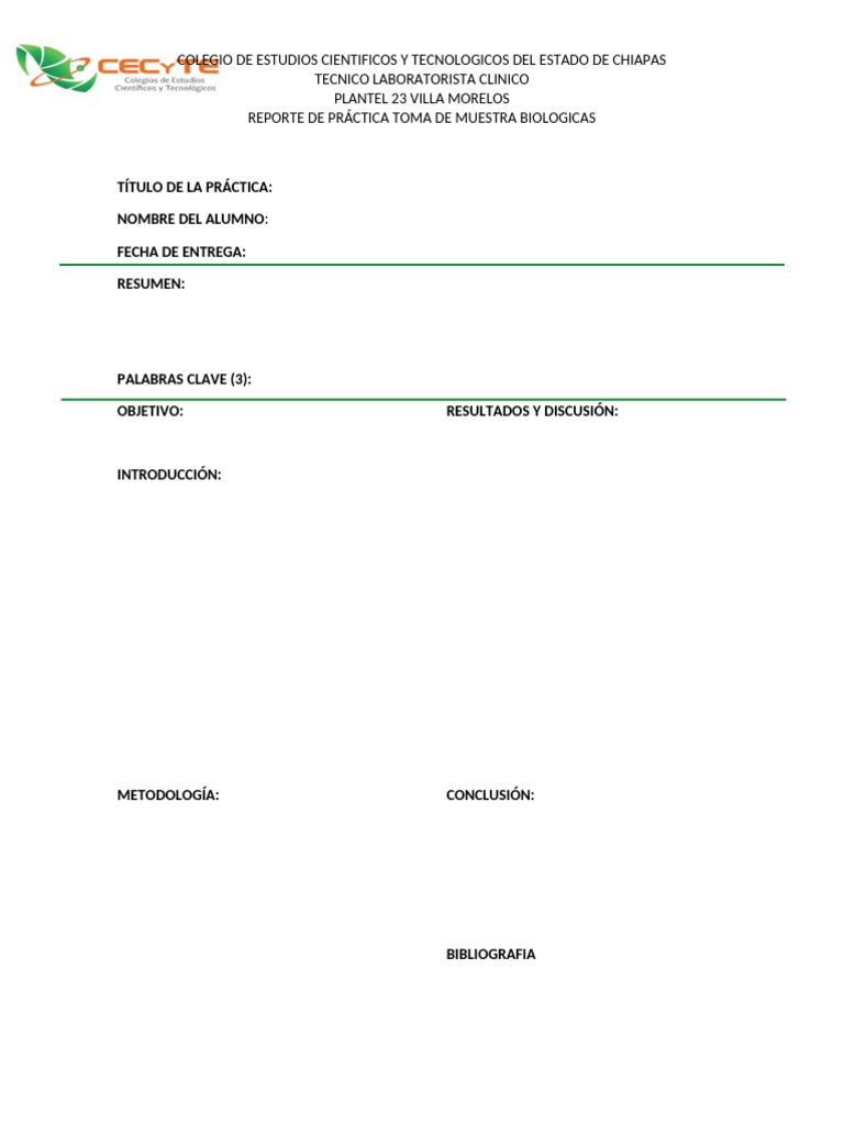 Formato de Practica | PDF