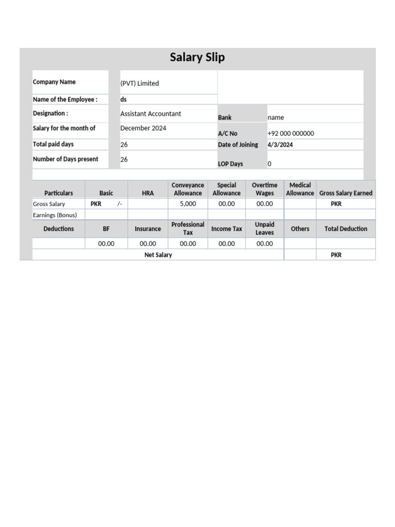 December 2024 Salary Slip Template | PDF