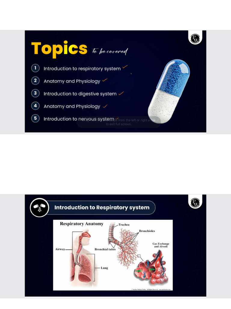 Hap-Respiratory N Digestive System | PDF
