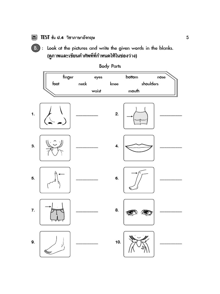 Look at The Pictures and Write The Given Words in The Blanks. Body ...