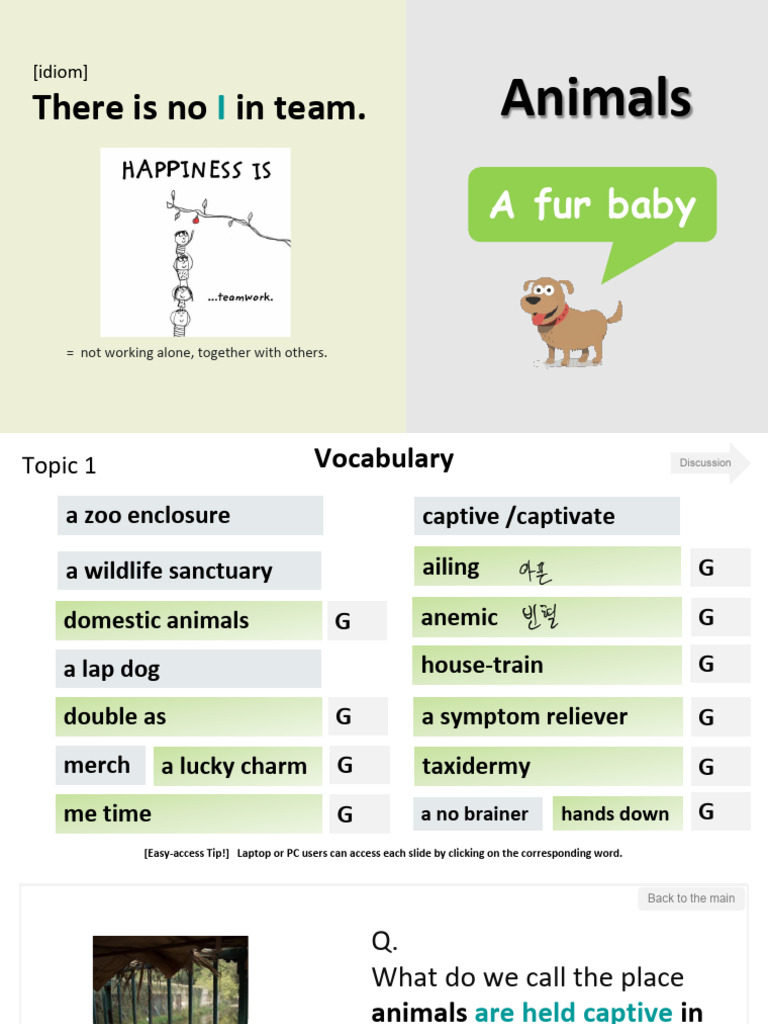 Understanding Animal Care Terms | PDF | Zoology | Animals And Humans