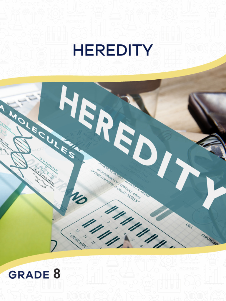 Heredity Worksheet - Grade 8 | PDF | Dominance (Genetics) | Genetics