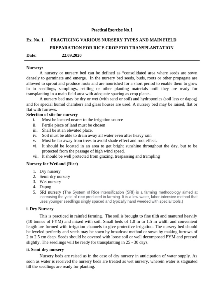 Rice Nursery Bed Preparation Methods | PDF | Plant Nursery | Plough