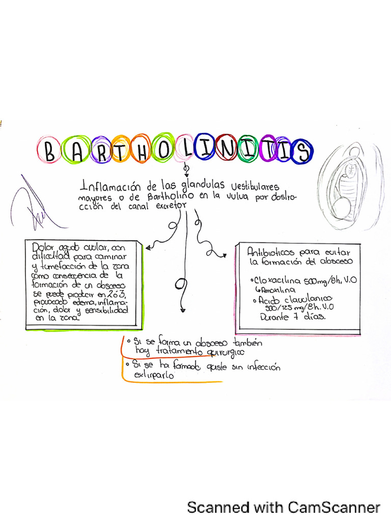 Bartholinitis, Torcion Ovarica y Enferme | PDF