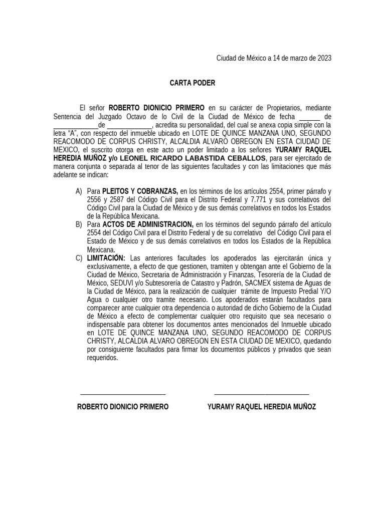 Carta Poder | PDF | México | Gobierno