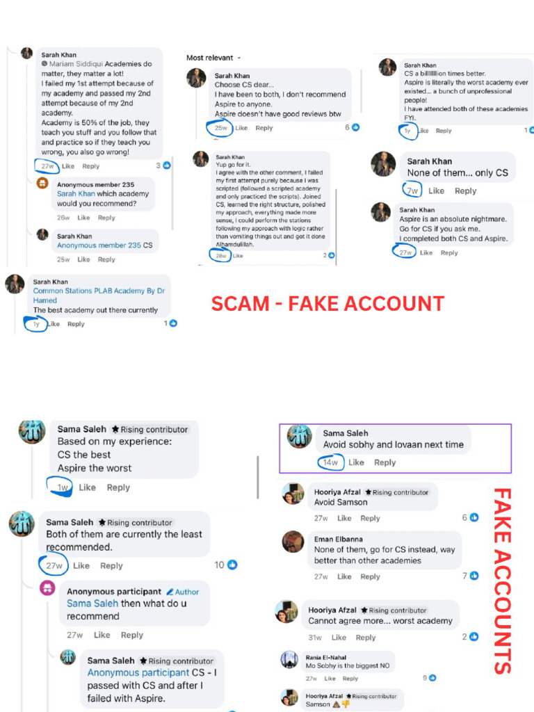 CS Academy SCAM | PDF