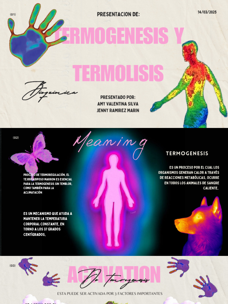 Termogenesis y Termolisis PDF | PDF | Agua | Termorregulación
