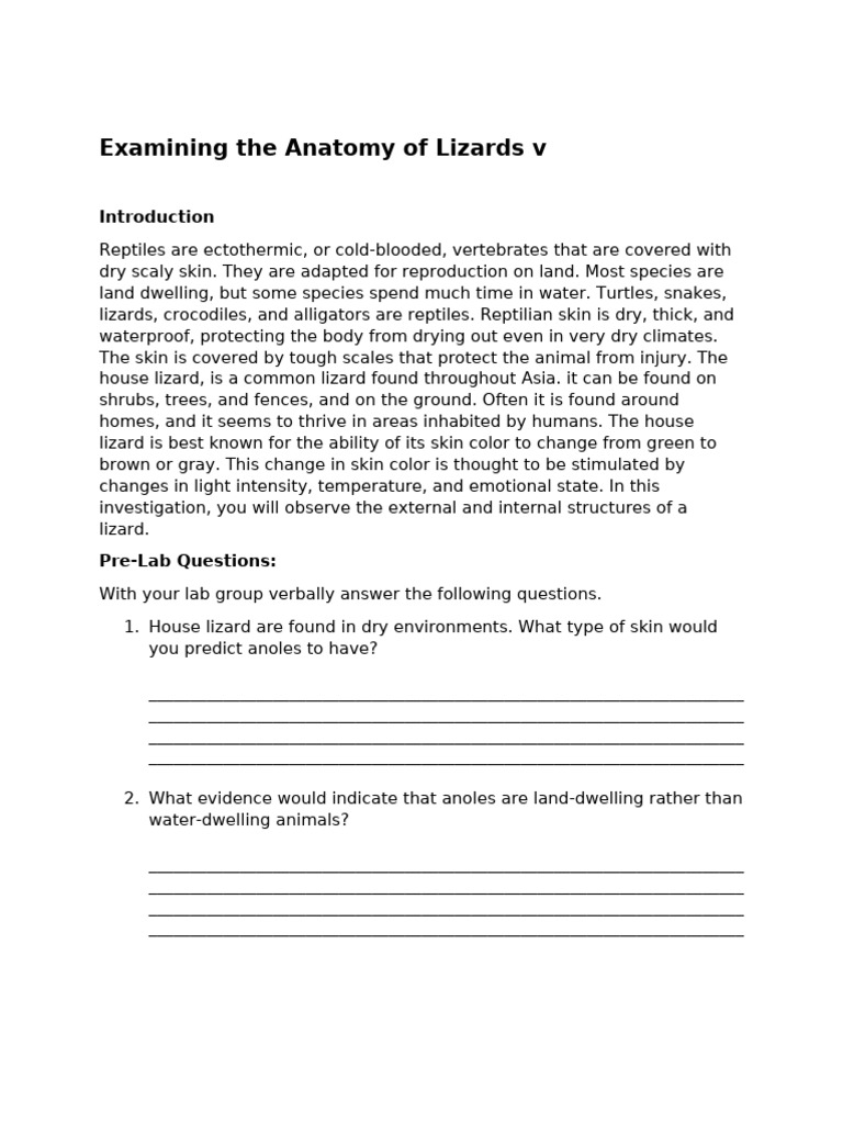 Examining The Anatomy of Lizards V | PDF | Reptile | Anatomy