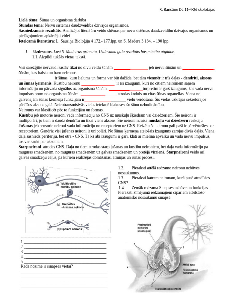 DL 11-4-26.Neiralā Regulacija Evolucija-skolenu | PDF