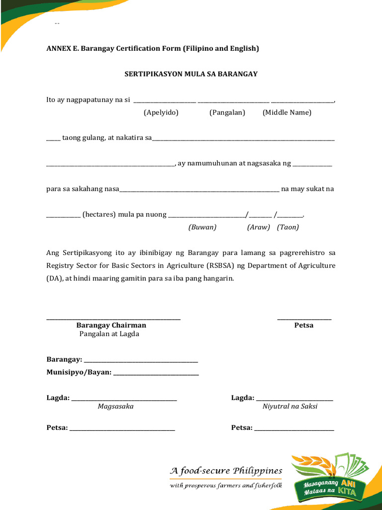 RSBSA Barangay Certificate | PDF