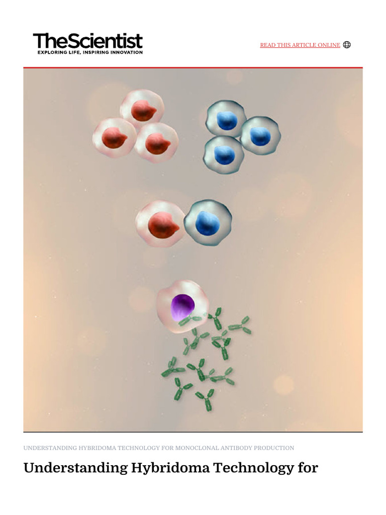 Hybridoma Technology for Monoclonal Antibodies | PDF | Monoclonal ...