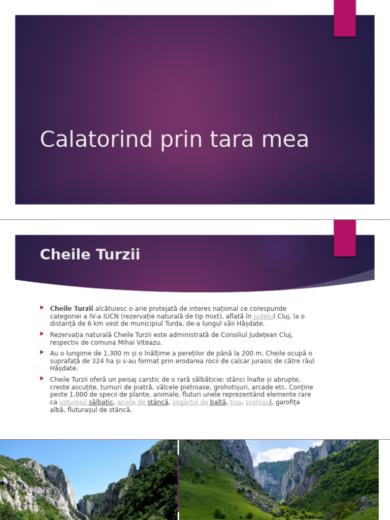 Calatorind Prin Tara Mea | PDF