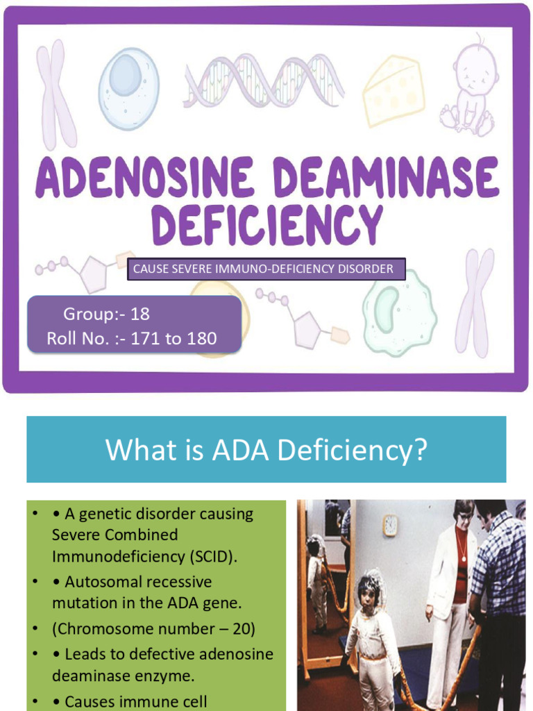 ADA Deficiency Presentation | PDF