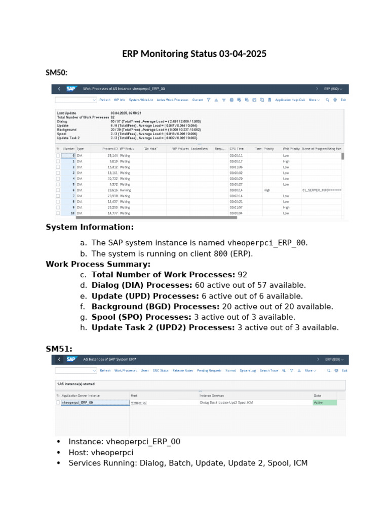 ERP Monitoring Status Report | PDF