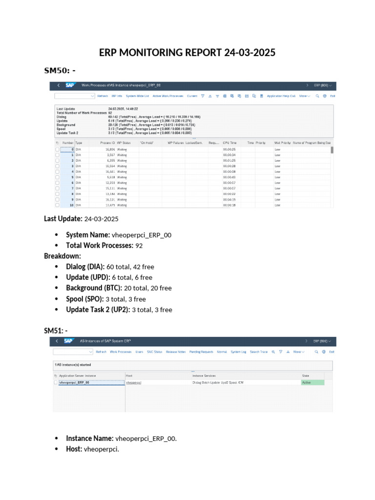 Erp Monitoring Report 24-03-20251 | PDF